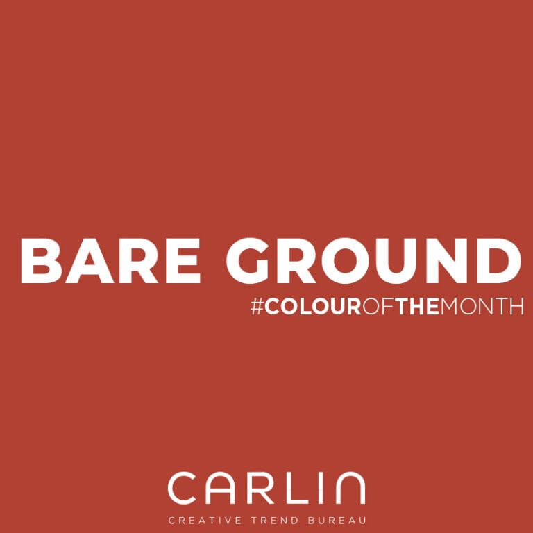 CARLIN | 取り扱いサービス | グローカルネット