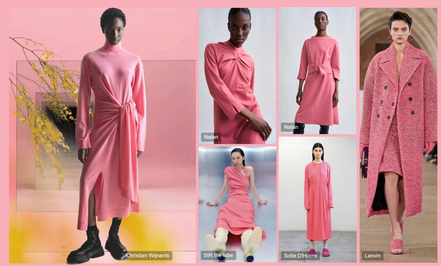 FW24/25 Color Trend – Women’s Dress | メディア情報 | グローカルネット